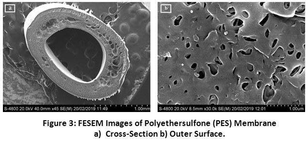 Enhanced Removal of Organic Pollutants and Reactive Dye in ...