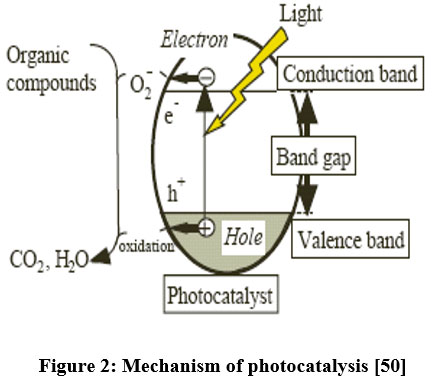 Recent progress in doped TiO2Photocatalysis and Hybrid Advanced ...