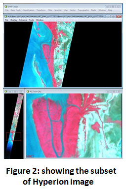 Hyper Spectral Remote Sensing for Mapping Species and Characteristics ...