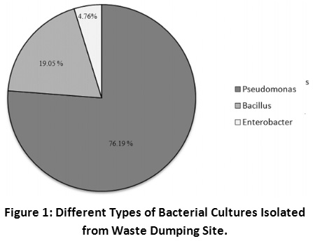 Characterization and Antibiotic Susceptibility Pattern of Bacteria ...